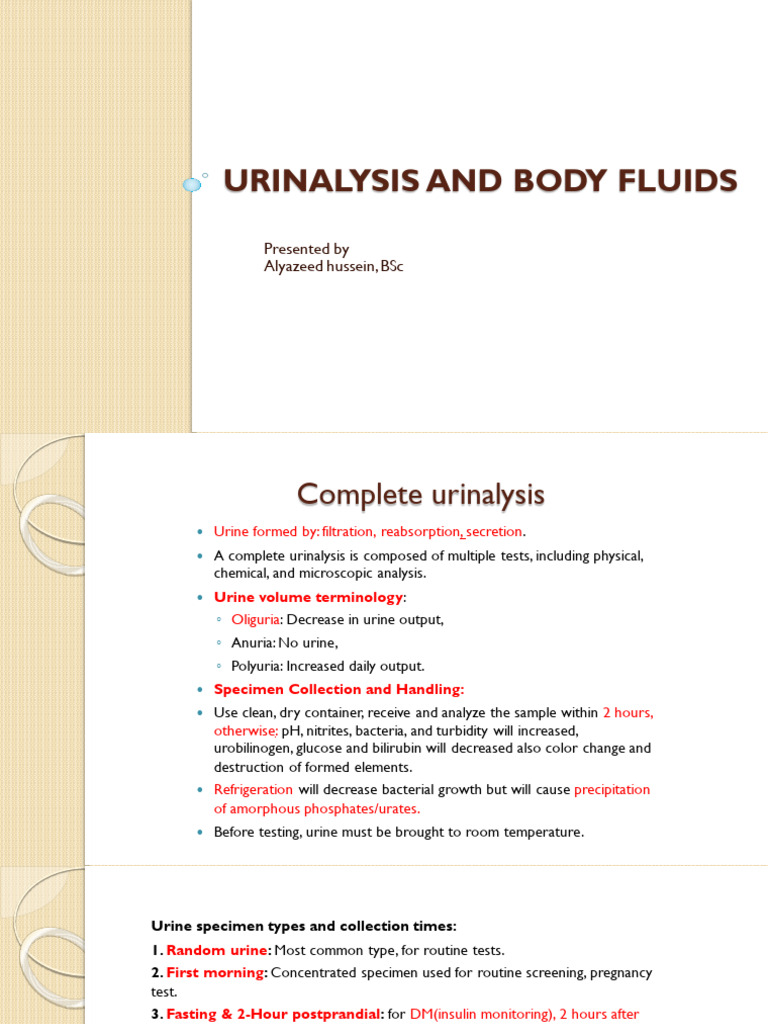 اليزيد Urinalysis | PDF | Medical Specialties | Urinary System