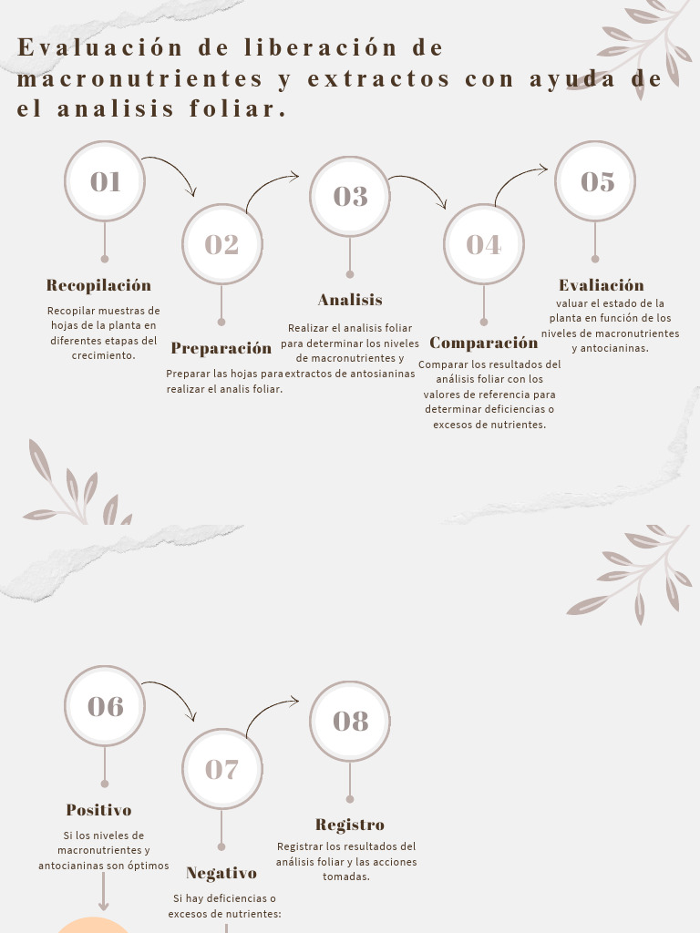 Beige Neutral Flowchart Graph Template | PDF | Nutrientes | Biología