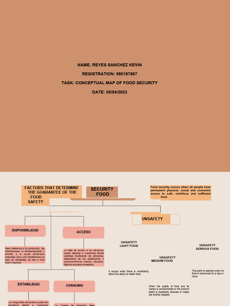 Conceptual Map of Food Safety | PDF | Food Security | Foods