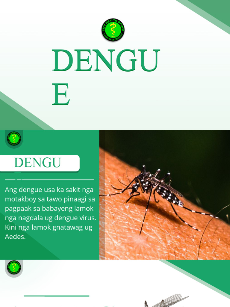 Dengue PPT 1 | PDF
