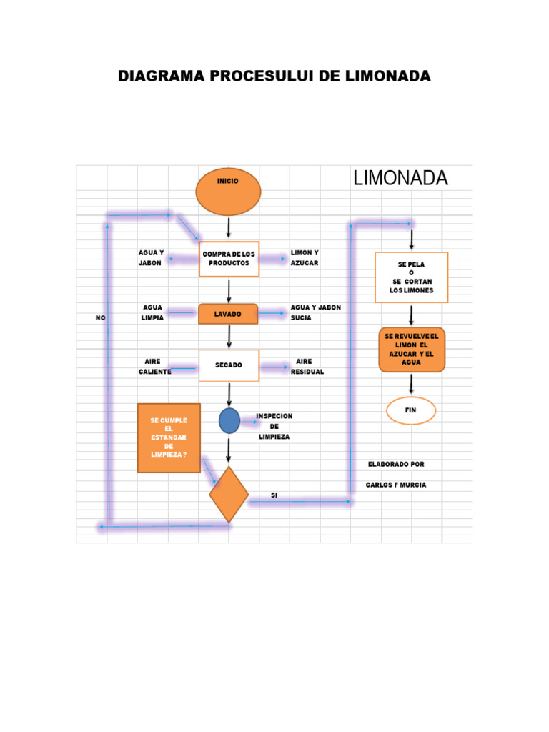 Diagrama Procesului de Limonadă | PDF
