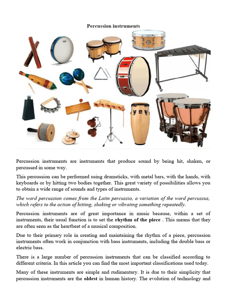 Percussion Instruments Family | PDF | Musical Instruments | Drum