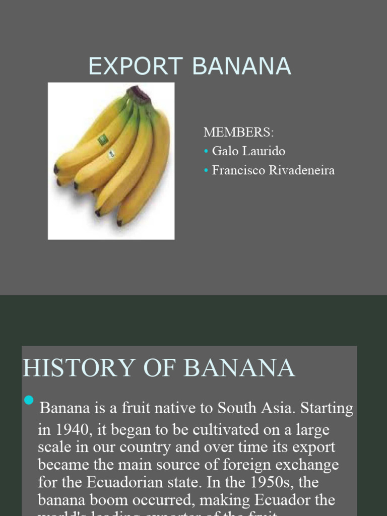 Banana | PDF | Banana