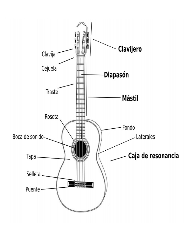 Guitar | PDF | Guitars | String Instruments