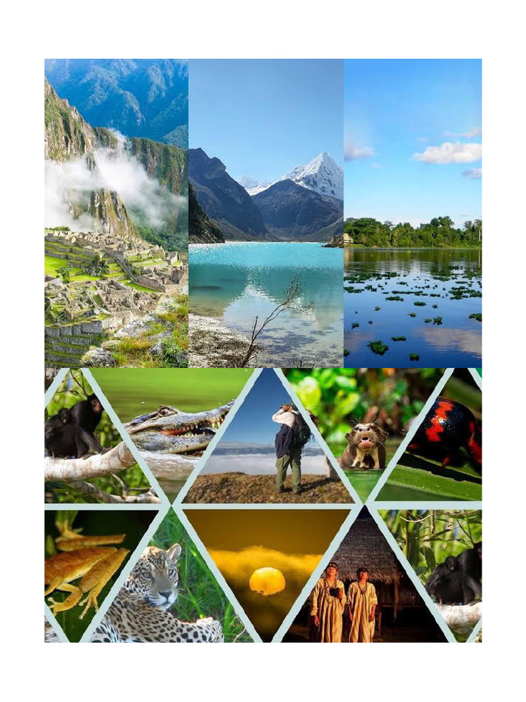 Documento áreas Peru | PDF