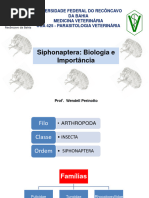 Sintomas da Tungíase e Cuidados | PDF | Doenças e distúrbios | Remédio