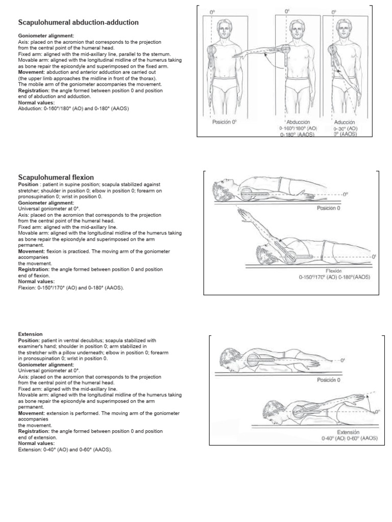 Goniometry Class | PDF | Anatomical Terms Of Motion | Elbow
