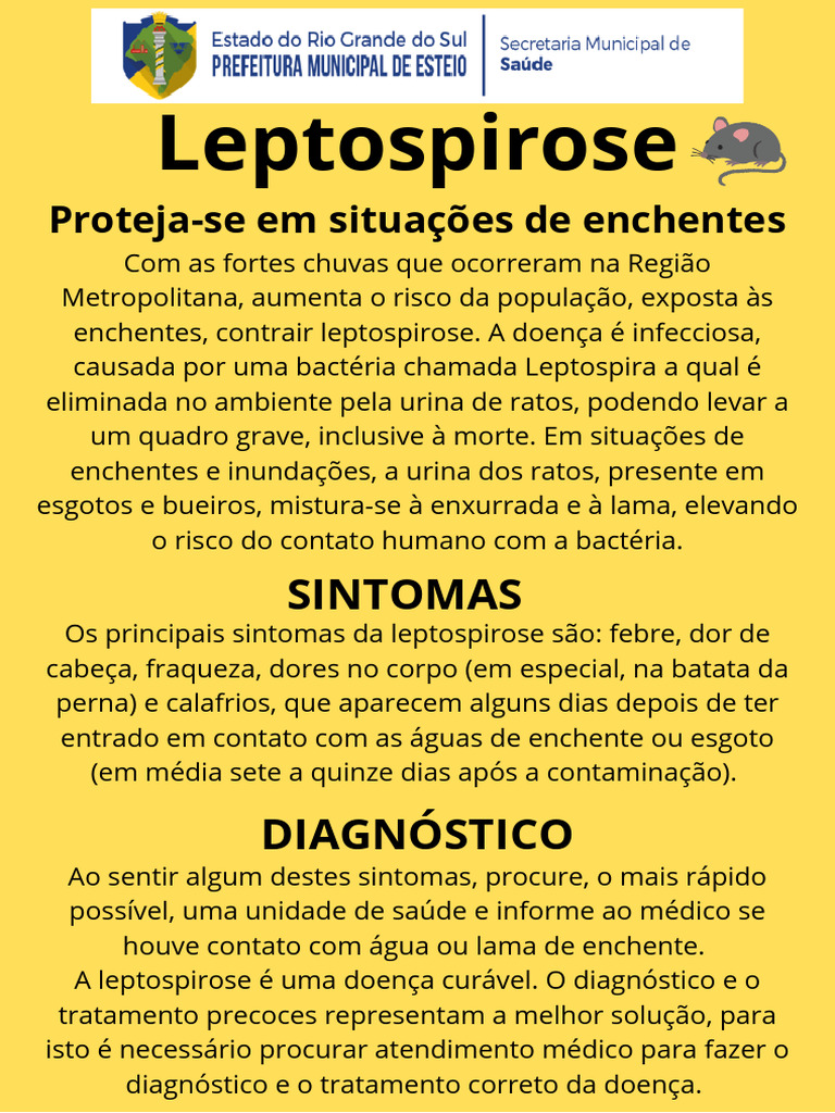 Leptospirose INFORMATIVO | PDF | Desperdício | Enchente
