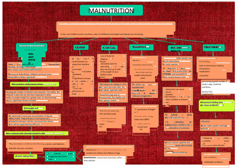 Concept Map Now Malnutritions | PDF | Malnutrition | Obesity