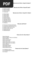 Anatomía y Cultura de las Nalgas | PDF | Nalgas | Anatomía humana