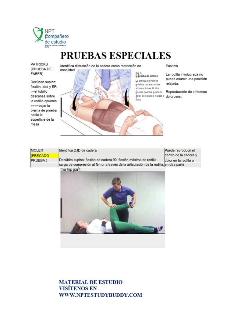 Pruebas Especiales para El Examen Musculoesquelético: Una Revisión en Profundidad de Las Pruebas ...