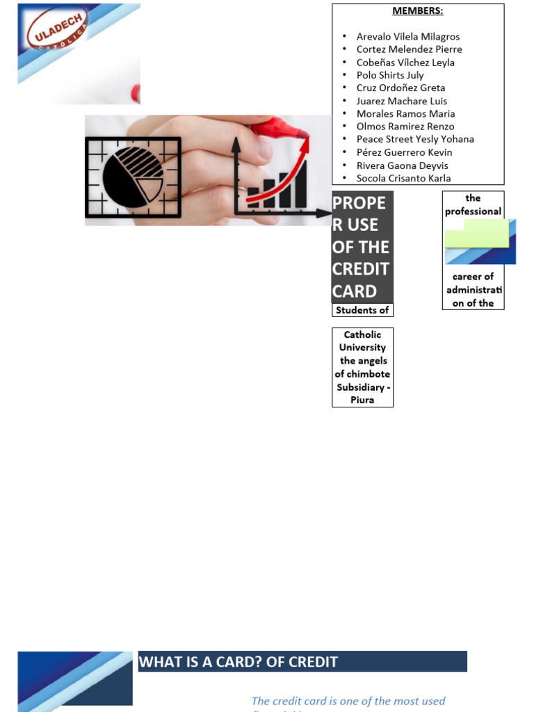 Credit Card Report | PDF | Credit Card | Overdraft