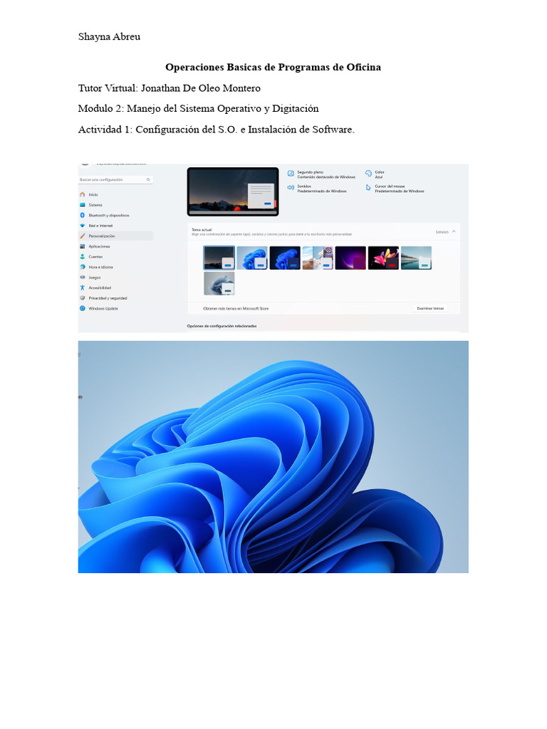 Actividad 1 Modulo 2 | PDF