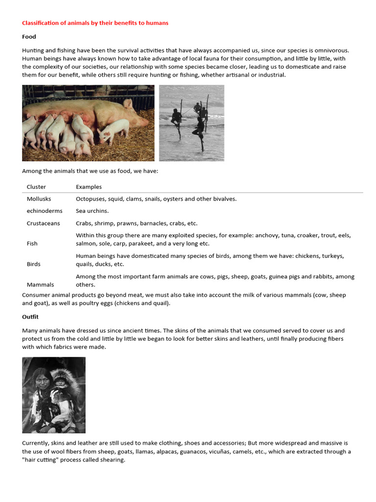 Classification of Animals For Their Benefits To Human Beings | PDF ...