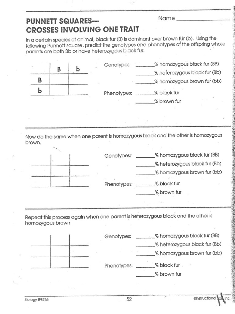 Genetic Worksheets 2 | PDF