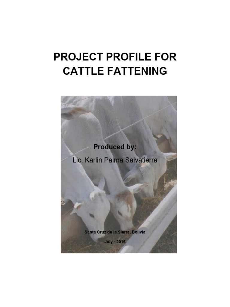 Cattle Fattening Project Profile | PDF | Internal Rate Of Return ...