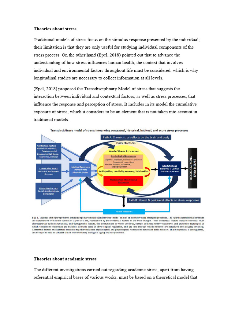 Academic Stress Theory | PDF | Stress (Biology) | Cognition