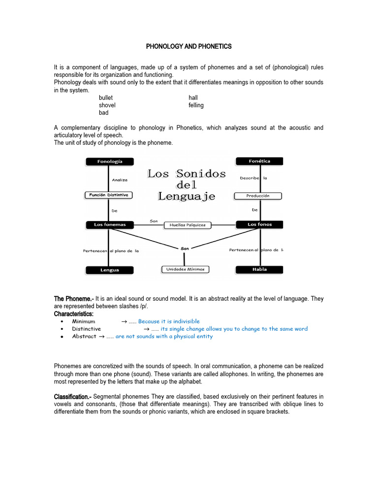 Phonetics Activity WORK Correction | PDF | Phoneme | Phonetics