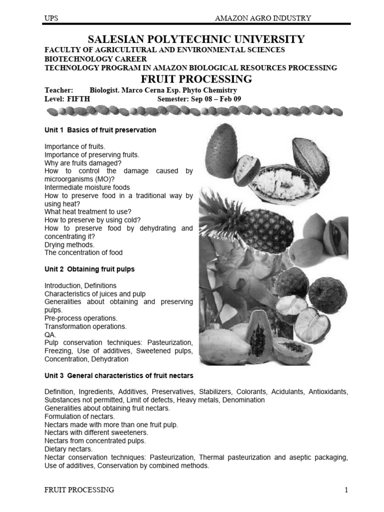 Fruit Processing | PDF | Fruit Preserves | Water