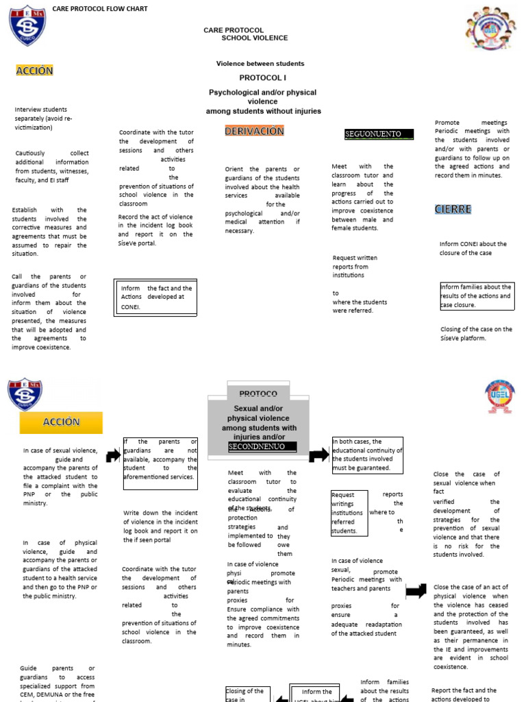 Care Protocol Flowchart. | PDF | Violence | Injustice