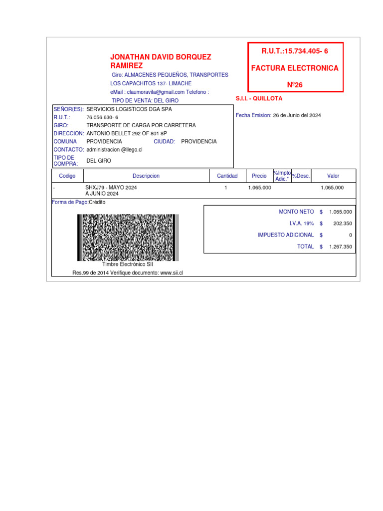 26-Servicios Logisticos Dga Spa 06-2024 | PDF | Industrias de servicio | Economias