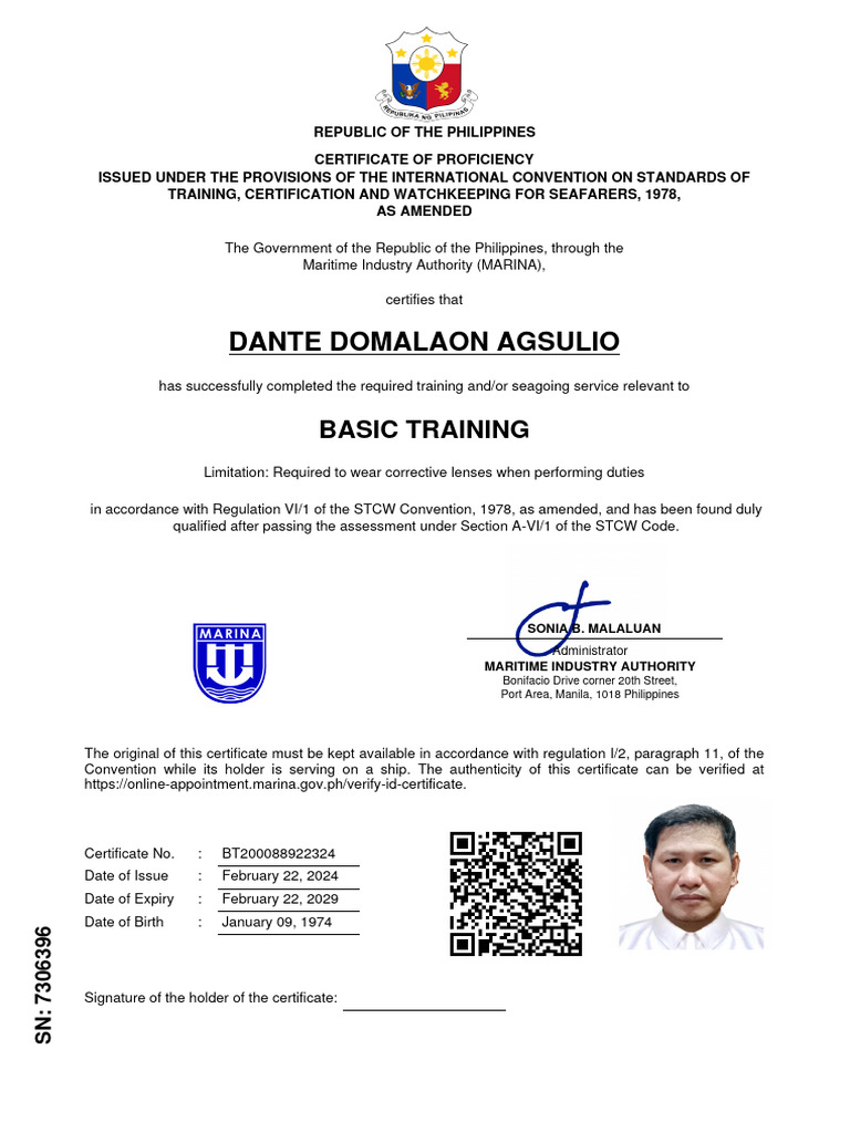 Dante Domalaon Agsulio: Basic Training | PDF