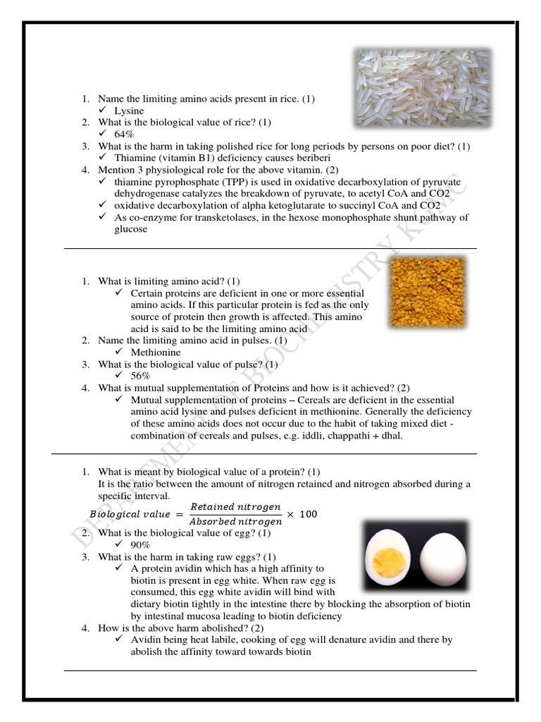 Ospe Response Ospe 2 - Key | PDF | Elution | Vitamin