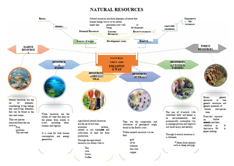Natural Resources-Mind Map | PDF | Agriculture | Livestock