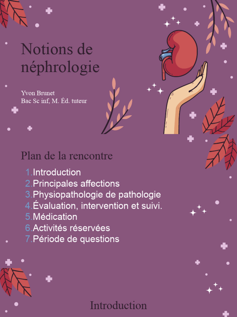 Les Notions de Nephrologie Manon Guillemette 2 | PDF | Rein | Néphrologie