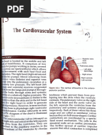 BASMI Scale | PDF | Anatomical Terms Of Motion | Knee