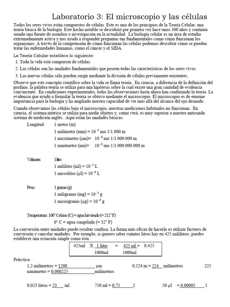 Respuestas Clave Microscopios y Células de Laboratorio | PDF | Teoría ...