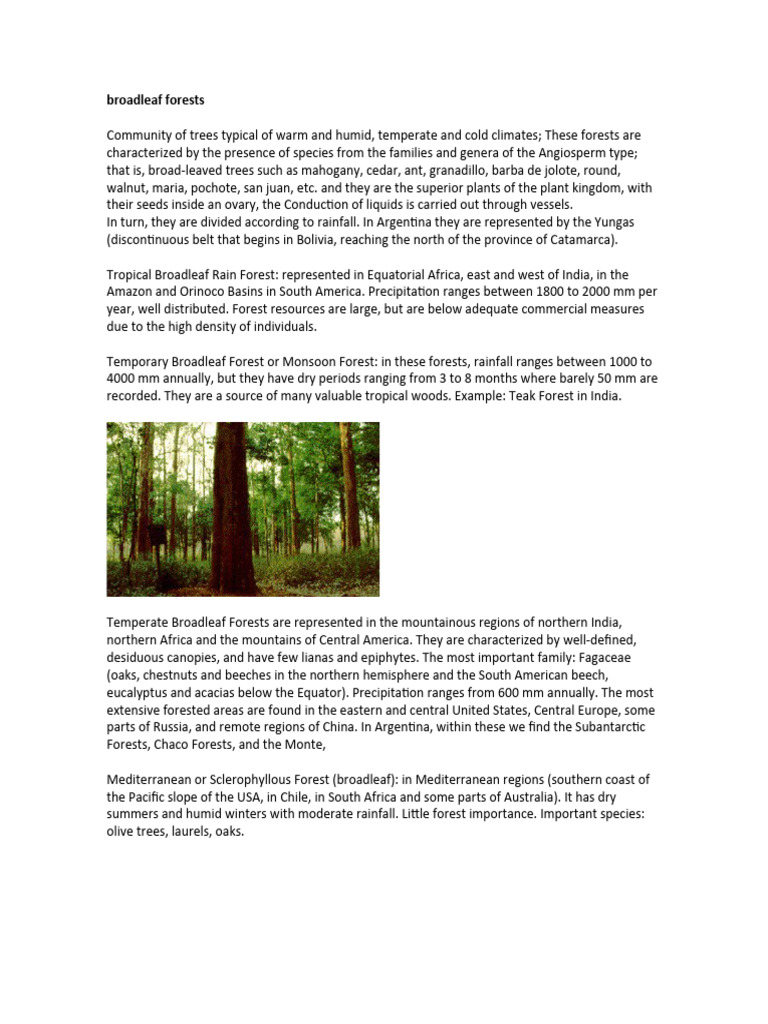 Broadleaf Forests | PDF | Forests | Trees
