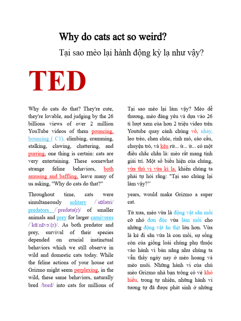 Ted Talk | PDF
