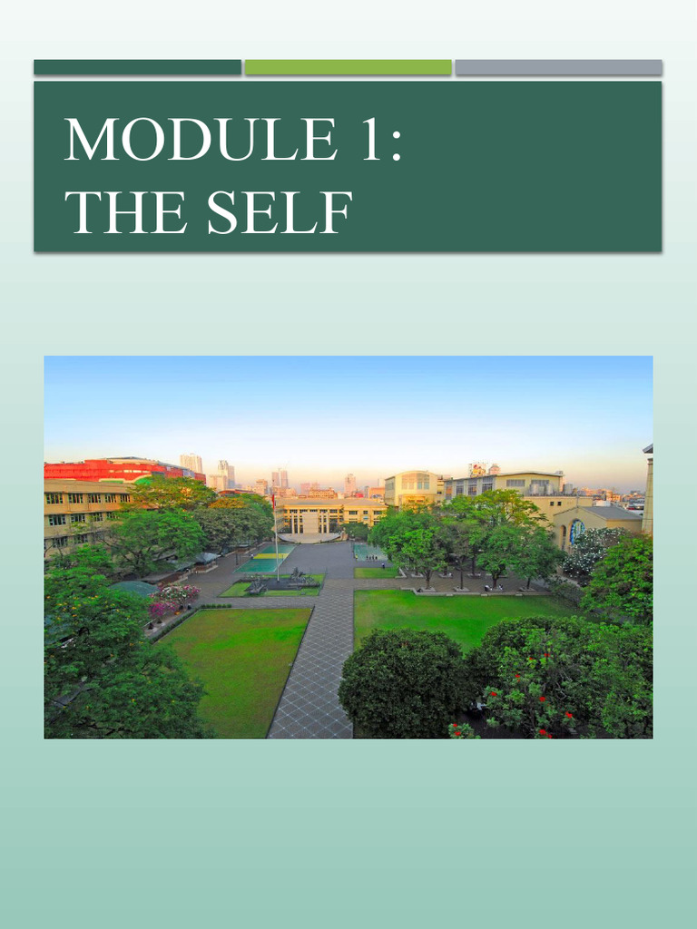 UTS Module 1 - The-Self | PDF | Self Concept | Cognitive Psychology