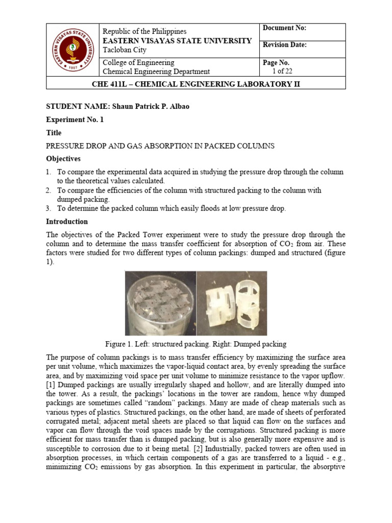 Albao-Pressure Drop and Gas Absorption in Packed Columns | PDF | Pump ...