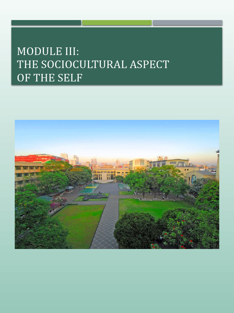 UTS Module 3 - Social-Self | PDF | Learning | Essays