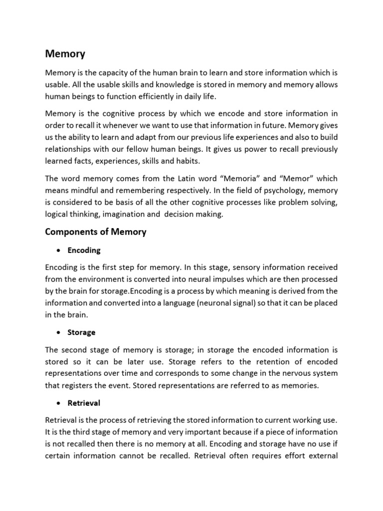 Memory | PDF | Memory | Long Term Memory