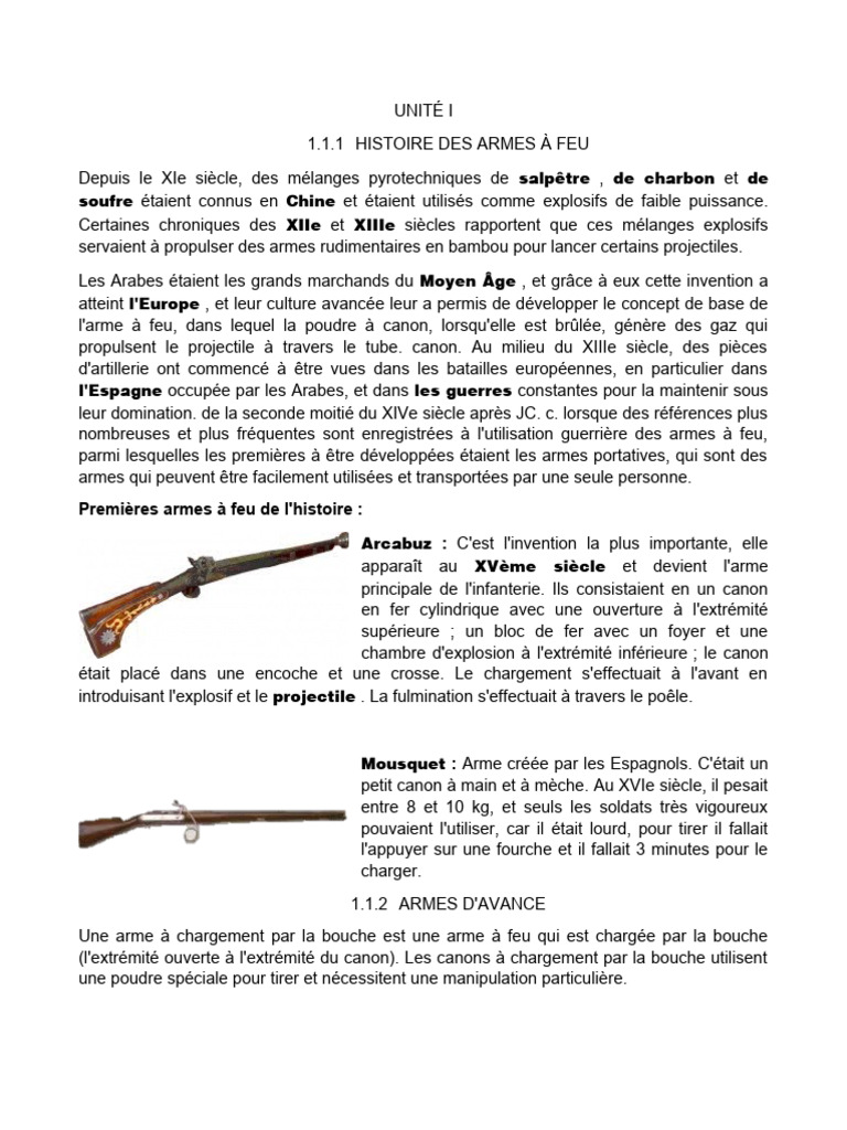 Histoire Des Armes À Feu | PDF | Fusil | Revolver