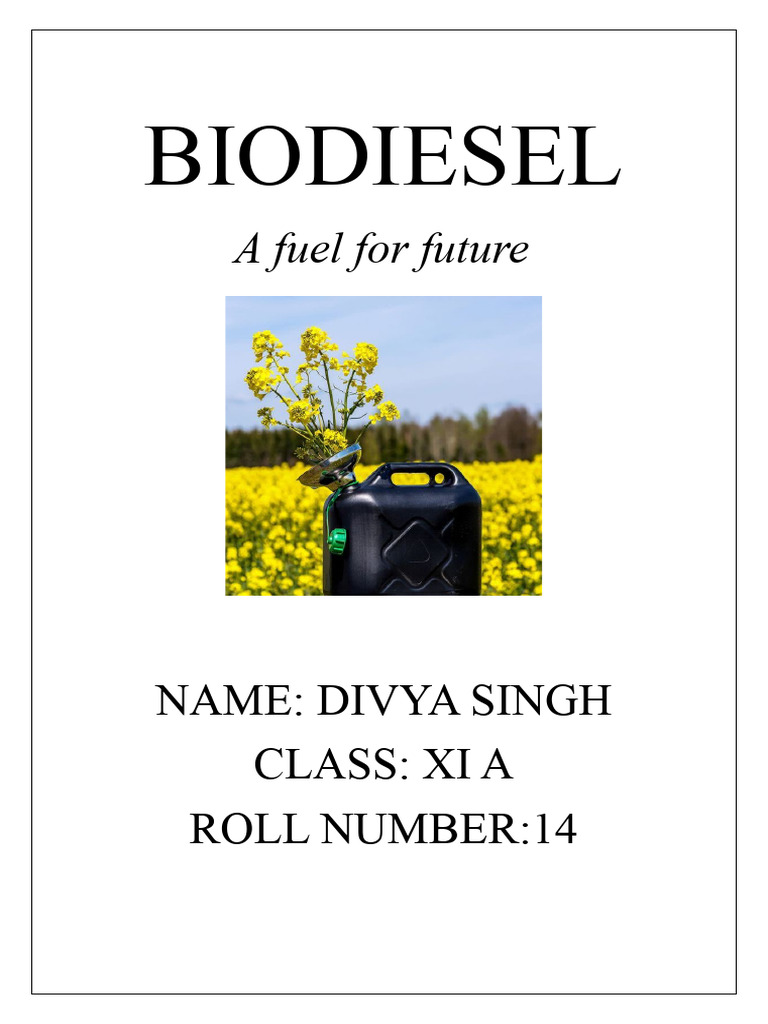 BIODIESEL Project | PDF | Catalysis | Biodiesel