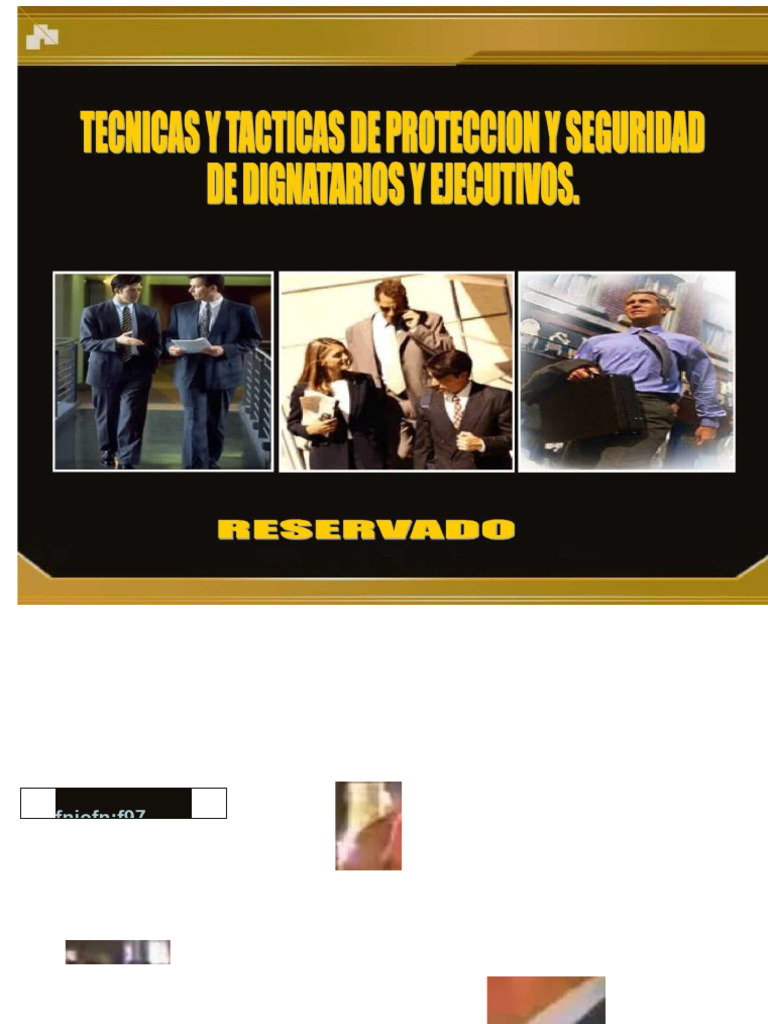 Personal Protection Operations. | PDF | Risk | Traffic