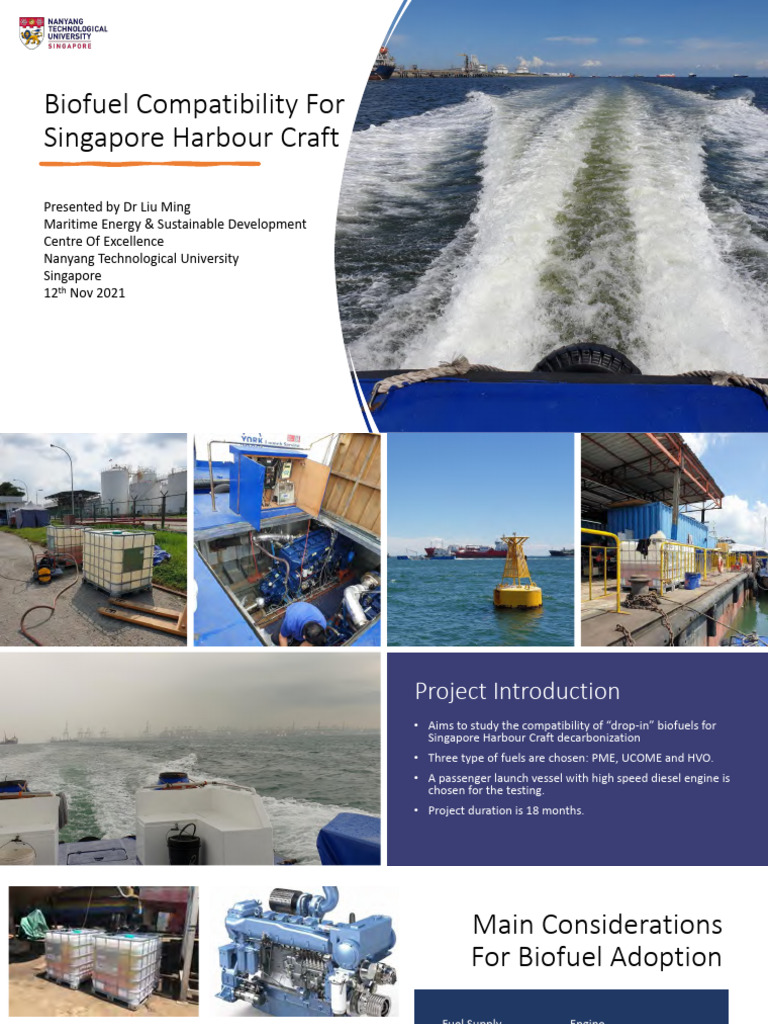 Biofuel-Compatibility-Study Final Compressed | PDF | Biofuel | Biodiesel