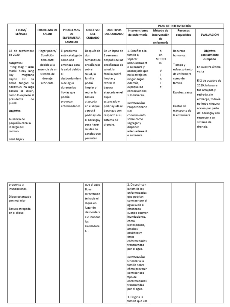 CHN - COPAR Plan de Atención de Enfermería Familiar | PDF | Baño | Enfermería