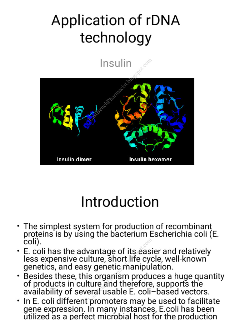 Insulin | PDF | Recombinant Dna | Insulin