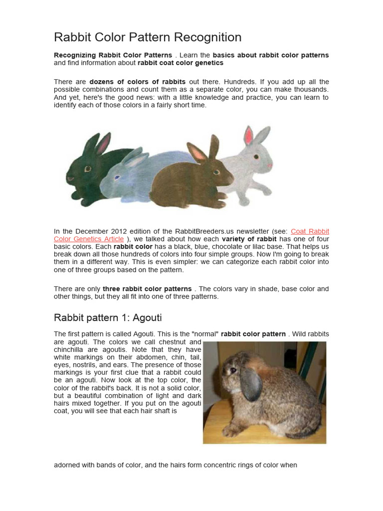 Rabbit Color Pattern Recognition | PDF | Zygosity | Dominance (Genetics)