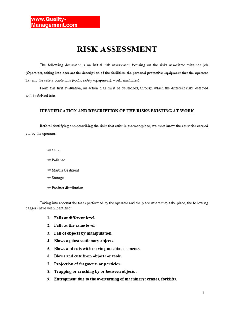 Risk Assessment Exercise | PDF | Risk | Crane (Machine)