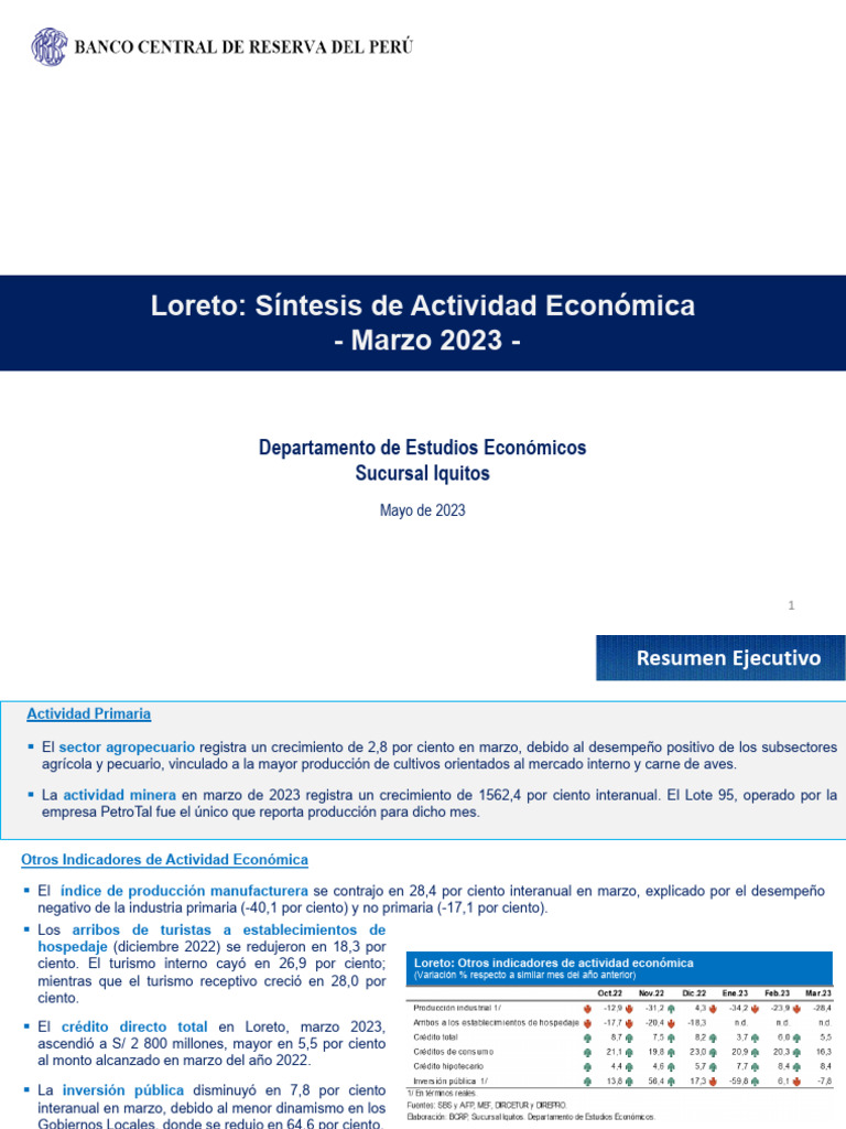 Presentacion-Loreto-03-2023 Actividades de Loreto | PDF | Economias