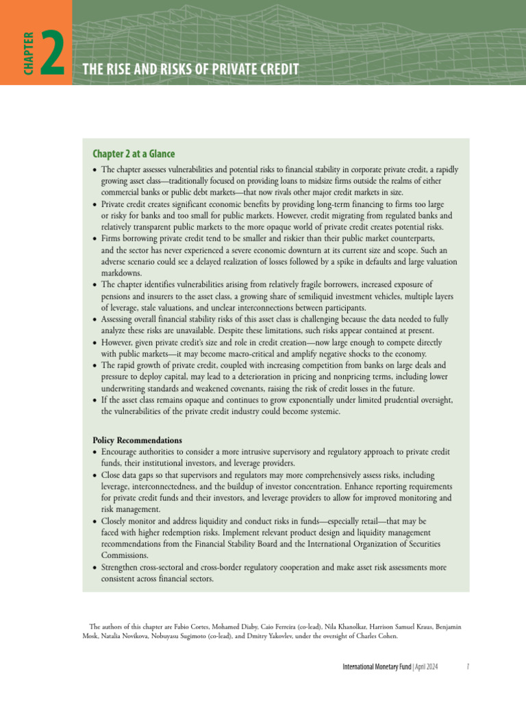 Private Credit The Rise And Risk Download Free Pdf Syndicated