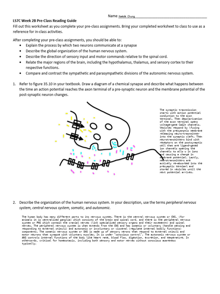 LS7C Week 2B Pre-Class Reading Guide | PDF | Nervous System | Chemical ... LS7C Week 2B Pre-Class Reading Guide | PDF | Nervous System | Chemical ...