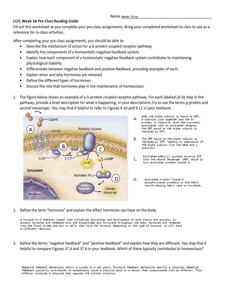 LS7C Week 3A Pre-Class Reading Guide | PDF | Hormone | Homeostasis