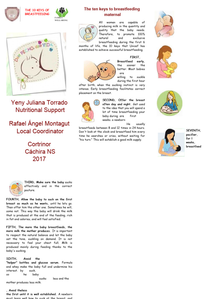 Brochure 10 Keys To Breastfeeding Juliana Torrado | PDF | Breastfeeding ...